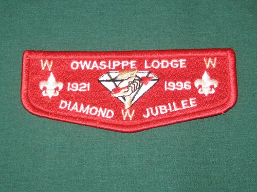 Owasippi 7 s20.5a flap JOA | eBay