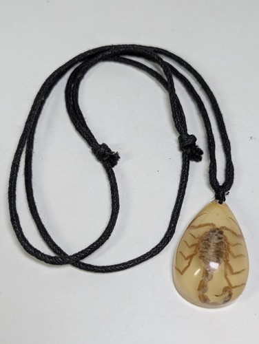 Scorpion Necklace in Replica Amber Real Scorpion Insect Pendant | eBay