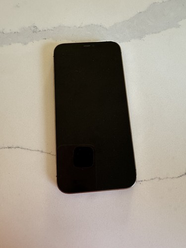 Apple iPhone 12 Pro Max - 256 GB - Silver (Spectrum) for sale online | eBay