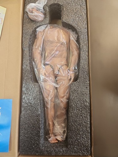 Worldbox 1/6 AT044 Super Muscle Flexible Body Male Man Action Figure | eBay