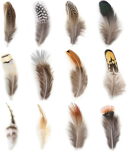 360Pcs 12 Styled Natural Feathers Assorted Mixed Feathers for Jewelry ...