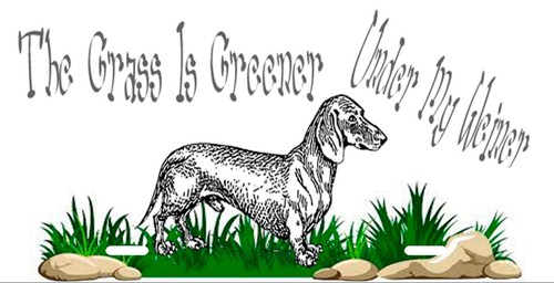 Weiner dog the grass is greener, Novelty Vanity License Plate, USA Made ...