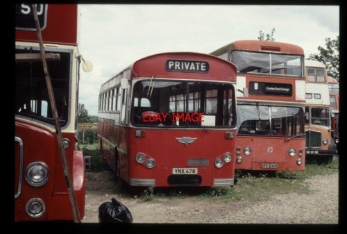 PHOTO CHILTERN QUEENS AEC RELIANCE BUS NO YNX 478 AND OTHERS | eBay