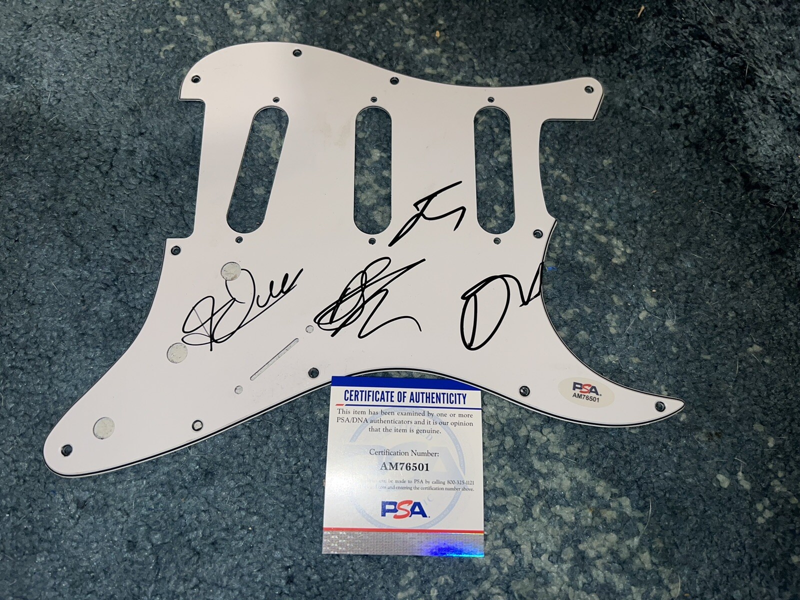 The Struts Autographed Signed Strat Pickguard Luke Spiller, Adam ...