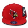 Illinois State University ISU Redbirds NCAA Fitted Flat Bill Baseball ...