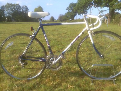 Vintage Raleigh Bicycle for sale | eBay UK