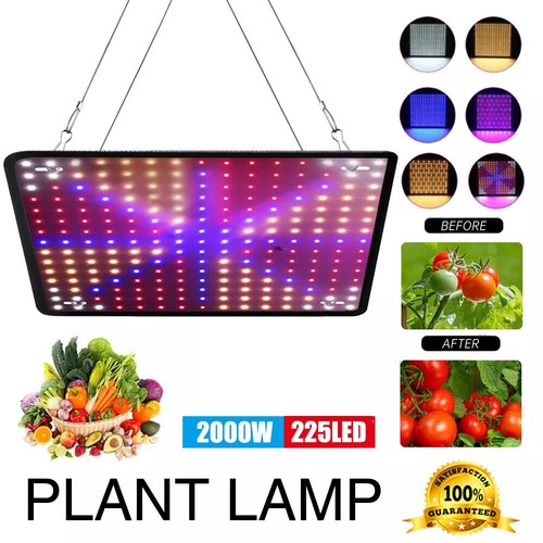 2000W LED Grow Light for Indoor Plants Growing Lamp 225 LED Full ...
