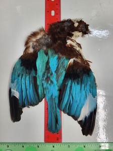 LG FLY & ROD | eBay Stores