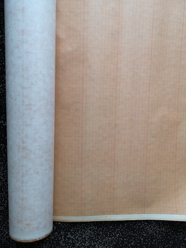 10mx878mm Graph paper roll. Millimeterpapier Millimeter Millimetrovka ...