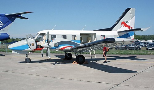 Rysachok Technoavia Russia Light Airplane Desk Wood Model Big New | eBay