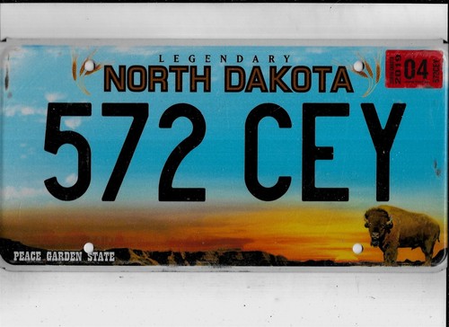 NORTH DAKOTA passenger 2019 license plate "572 CEY" ***NATURAL***Ron ...