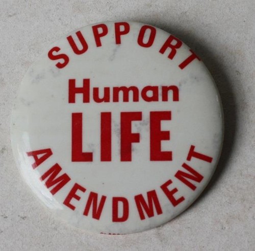 Support Human Life Amendment Anti Women's Healthcare Celluloid Pinback ...
