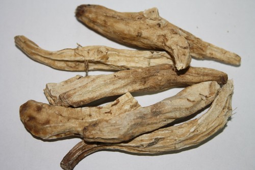 White Behen / Safed Behman sexual wellness Indian POWDER Herb FREE ...