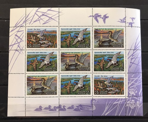 Russia - Birds / Ducks / Fauna - stamps - MNH** - P19 | eBay