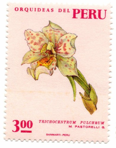 Orchids: Peruvian Flora TRICHOCENTRUM PULCHRUM, S/. 3, Perú 1971 ...
