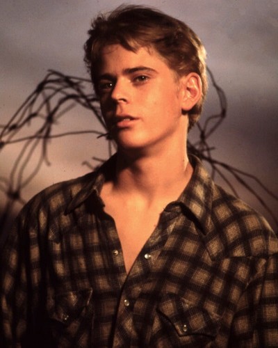 C. Thomas Howell portrait as Pony Boy from The Outsiders 8x10 Color ...
