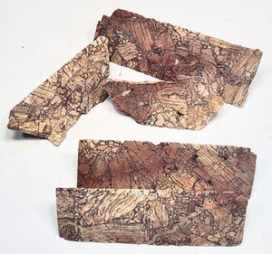 Endless Circle Lapidary | eBay Stores