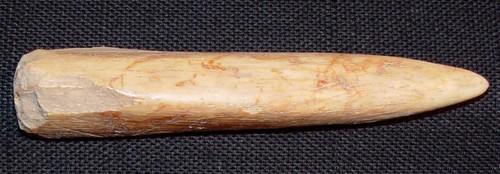 Authentic Ancient Indian Bone Awl 3 1/2" Long - Shelby County, TN AACA ...