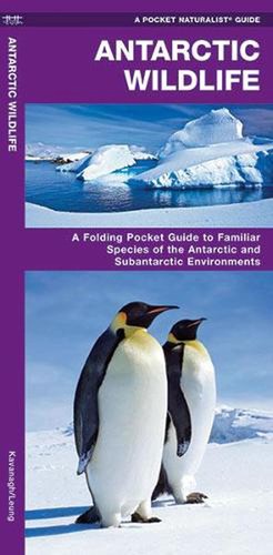 Antarctic Wildlife: A Folding Pocket Guide to Familiar Species of the ...
