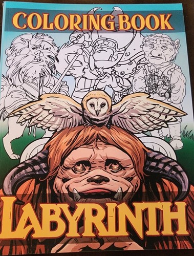 Out Of Print Rare Labyrinth Coloring Book | eBay