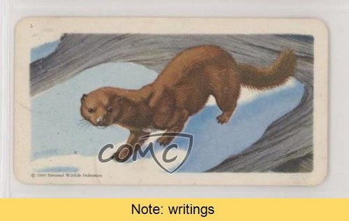 1962 Brooke Bond Red Rose Animals of North America Series 2 Tea Mink ...