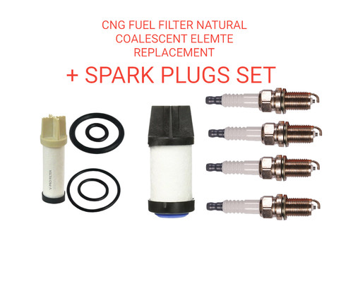 2 Pcs CNG Fuel Filters Natural Gas Element Set Fits Civic GX 4 Door ...
