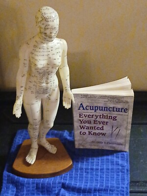 Acupuncture Models for sale | eBay