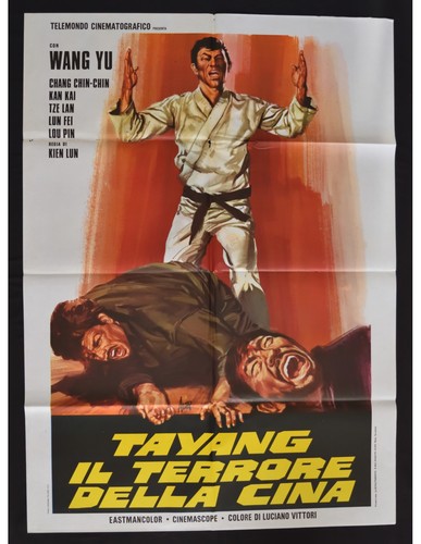 Bruce Lee Tayan Terror China Martial Arts Karate Kung Fu A65 | eBay