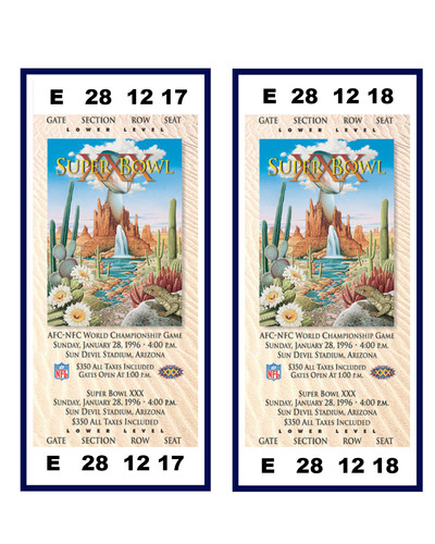 DALLAS COWBOYS SUPER BOWL 30 (2) SIDE BY SIDE COMMEMORATIVE GAME ...