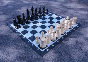 Rochester Chess Center | eBay Stores