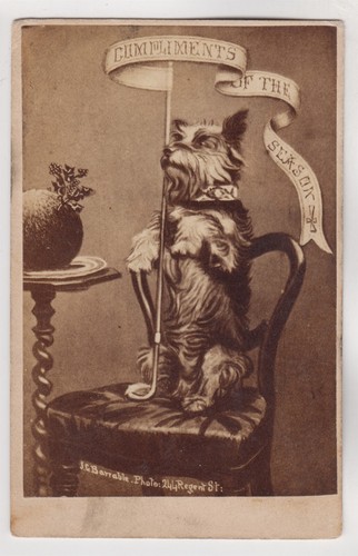 Christmas CDV-dog with Christmas pudding wishing compliments of the ...