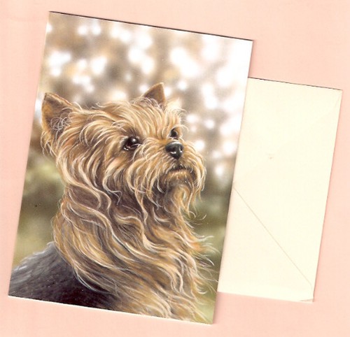 Yorkshire Terrier Yorkie Notecards Note Card by Paul Doyle Pack of 10 ...