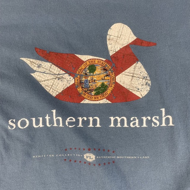 Southern Marsh Background