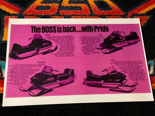 🏁 ‘71 ARCTIC CAT Snowmobile Line up Poster vintage sled EXT PUMA ...