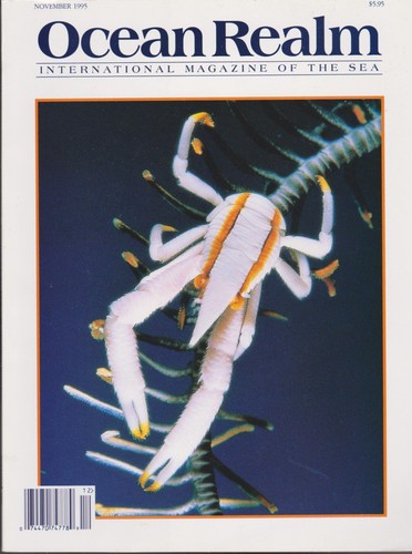 OCEAN REALM MAGAZINE NOVEMBER 1995 *REALM OF THE BARRACUDA | eBay