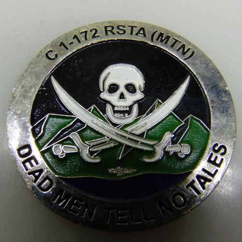 1SG MATTHEW MCKLEAN CPT GARION FORD C 1-172 RSTA MTN CHALLENGE COIN | eBay