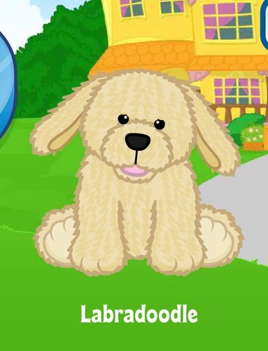 Webkinz Labradoodle Virtual PET Adoption Code Only Messaged Webkinz | eBay