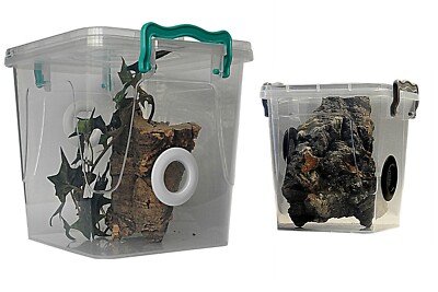 Stick Insect Tank for sale | eBay