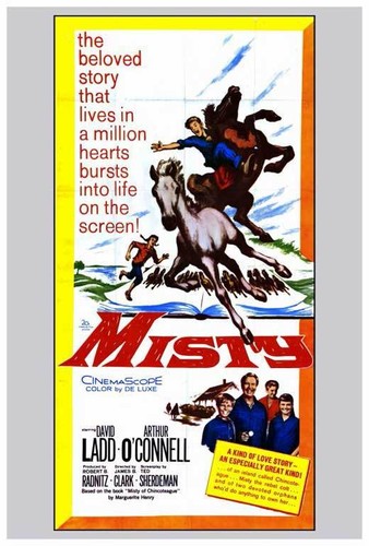 MISTY Movie POSTER 27x40 B David Ladd Arthur O'Connell Pam Smith | eBay
