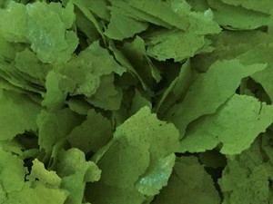 Totally Tanked Fish Food | eBay Stores