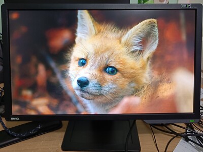 BenQ XL VGA D-Sub Computer Monitors for sale | eBay