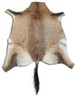 Deer Skin African Red Hartebeest Skin buck skin African Deer Skin ...