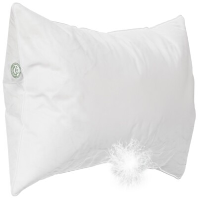 100 Goose Down Pillow for sale | eBay