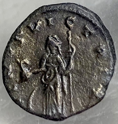 Roman Empress Cornelia Salonina Coin 260-268 AD Venus Victrix Genuine ...