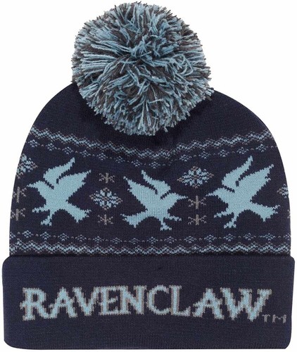 Harry Potter - Ravenclaw Beanie | eBay