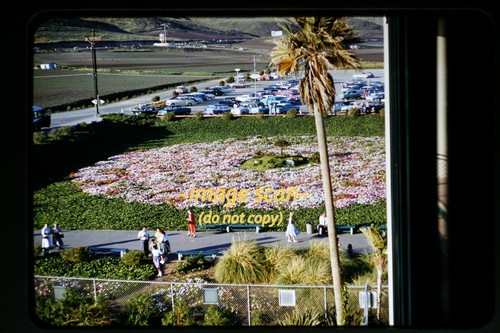 1950's Cars at Marineland of the Pacific los angeles, Original Slide ...