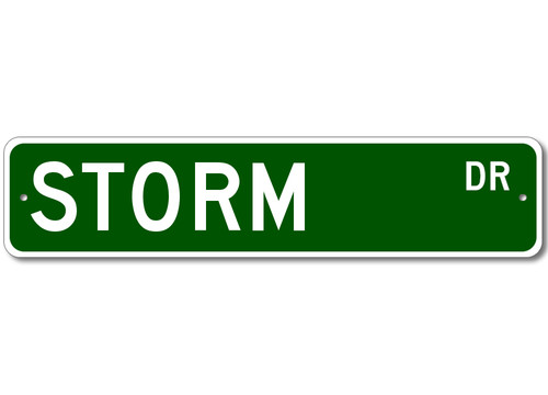 Storm Drive Street Sign Personalized Custom Last Name Metal Sign ...