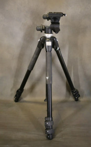 Birds For All | eBay Stores