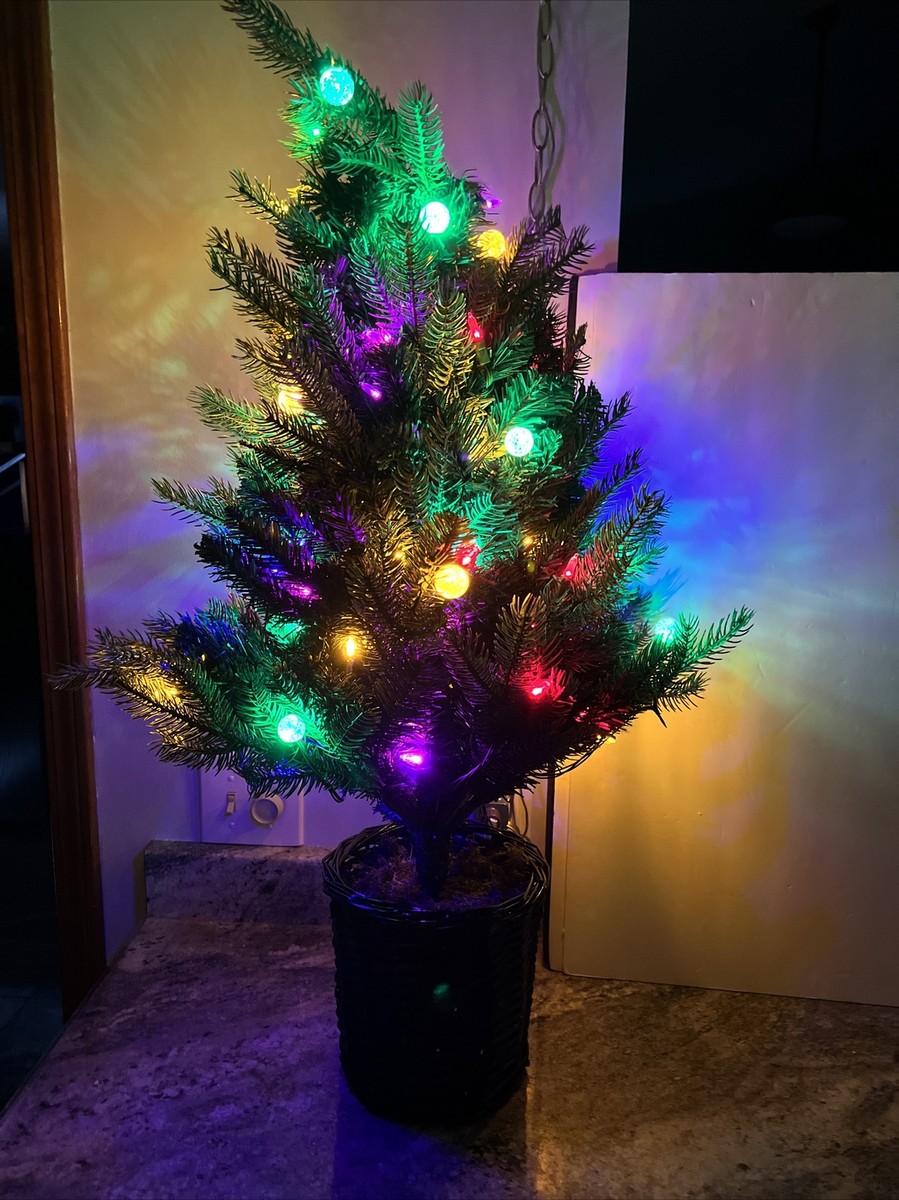 Bethlehem Lights Trees Sale Bethlehem, PA | Christmas | Historic Hotel