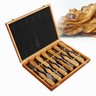 12 pc DELUXE Wood Carving CHISEL SET Set Wood Carvers CHISELS - Gouges ...